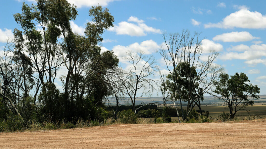 Environment - Triangle Energy